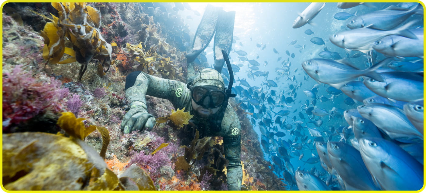 About HECS® - HECS® Wildlife