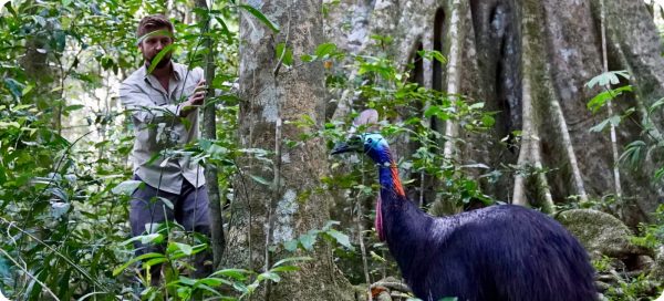 About HECS® - HECS® Wildlife
